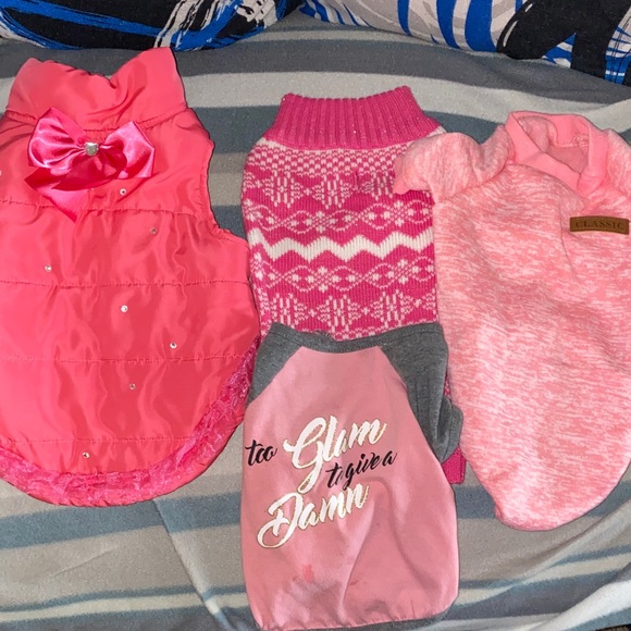 Dog | Bundle Pink Dog Sweater And Jacket Set | Poshmark